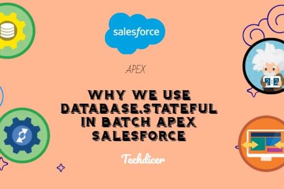 How To Make Callout In Batch Apex Class Salesforce Techdicer