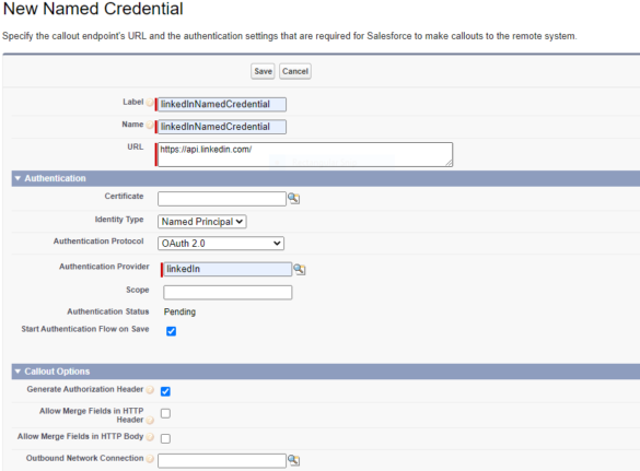 What Is Named Credentials Authprovider And Use In Apex Salesforce