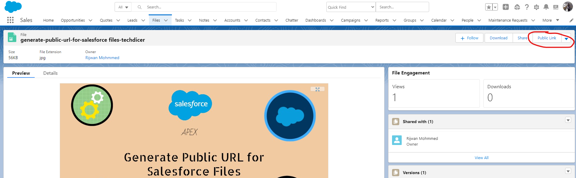 Generate Public URL for Salesforce Files - Techdicer