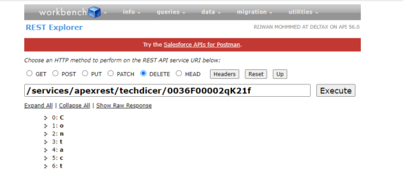 Rest Resource Apex Class in Salesforce - Techdicer