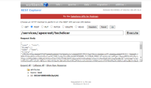 Rest Resource Apex Class in Salesforce - Techdicer